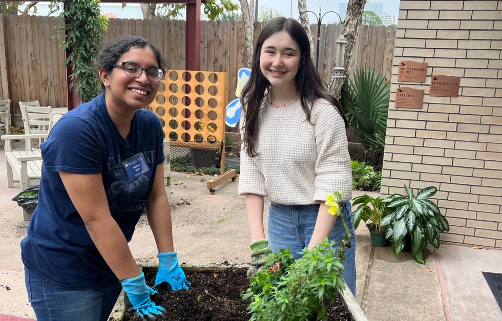 Volunteer - Amazing Place